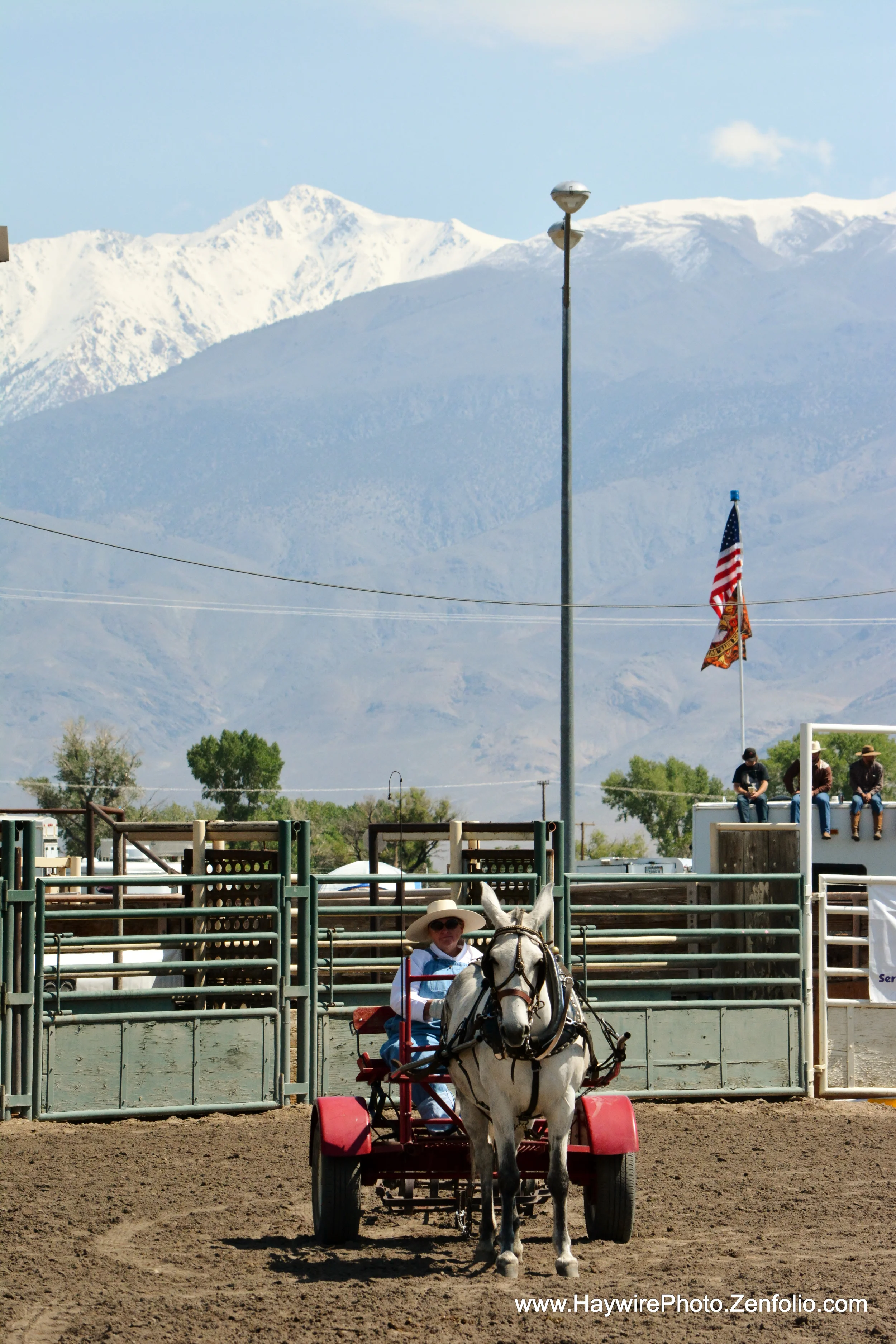 Bishop Mule Days 2014 — American Mule Association