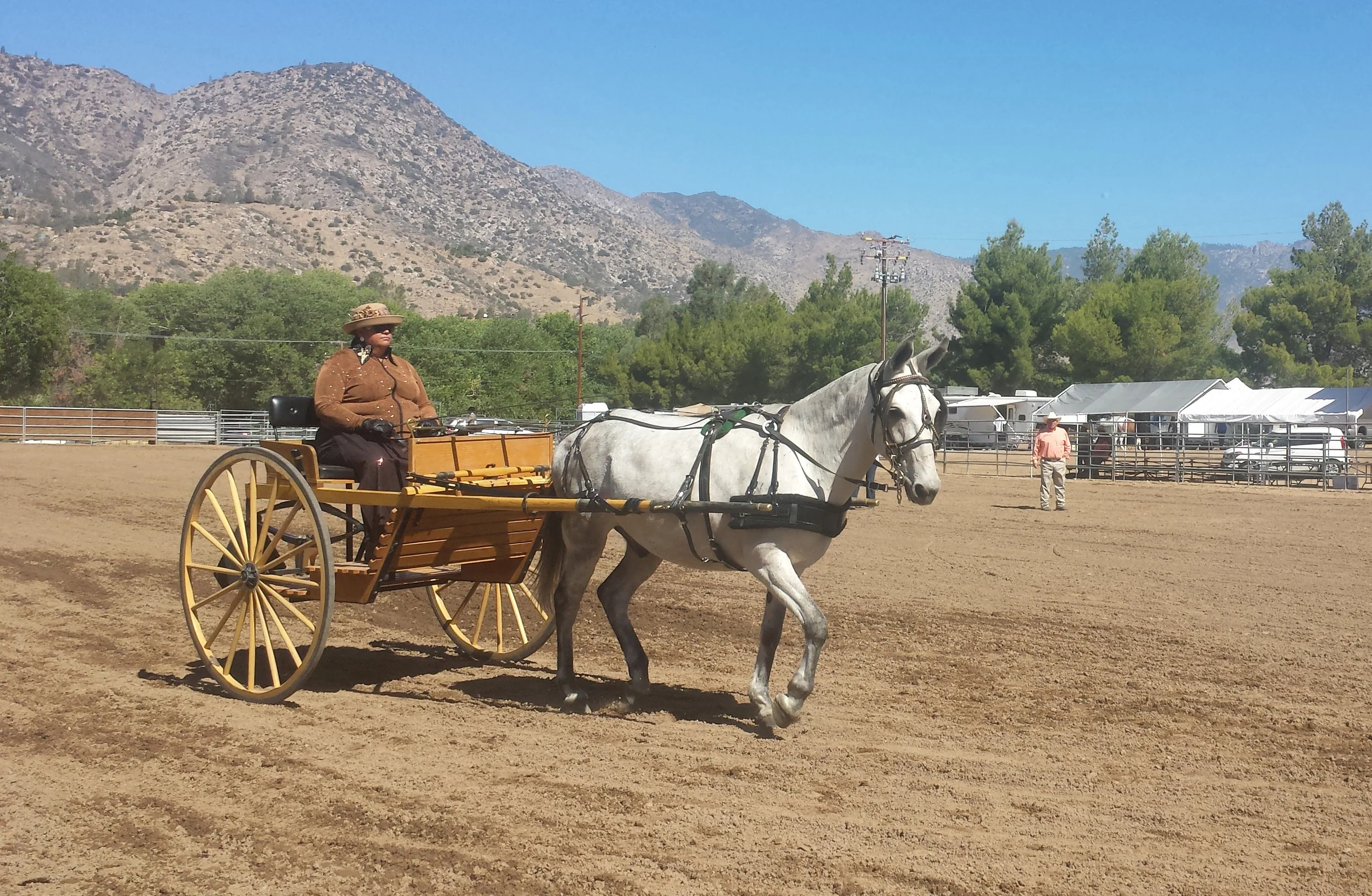 Kernville 2014 — American Mule Association