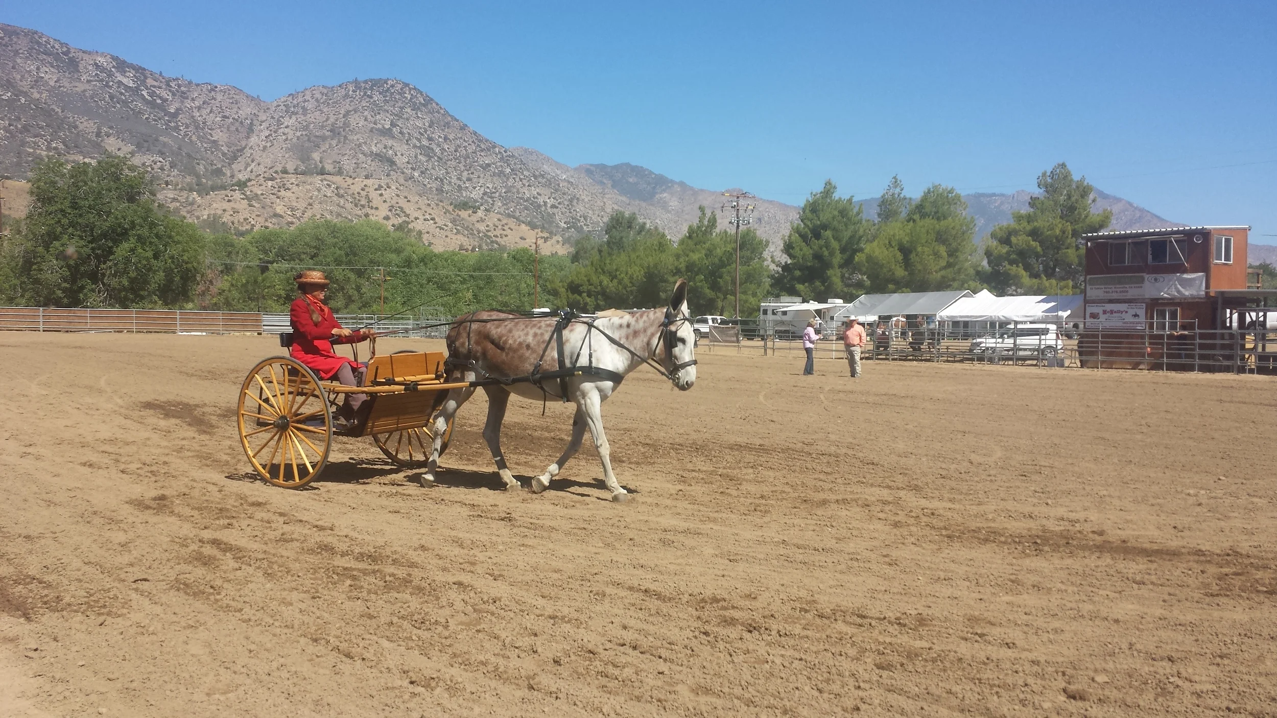 Kernville 2014 — American Mule Association