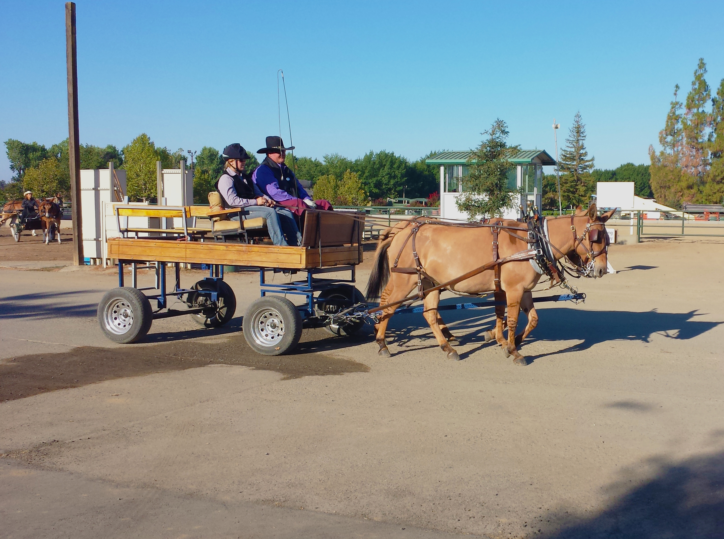 Murieta Mule Classic 2014 — American Mule Association