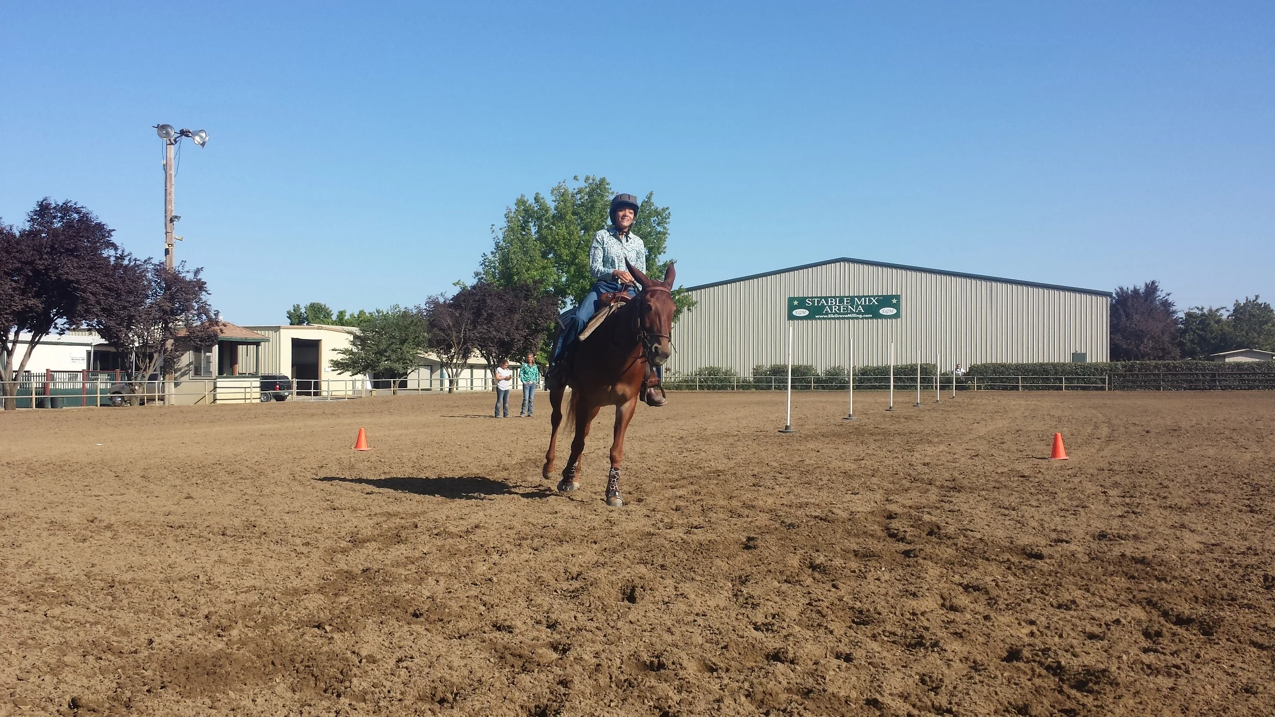 Murieta Mule Classic 2014 — American Mule Association