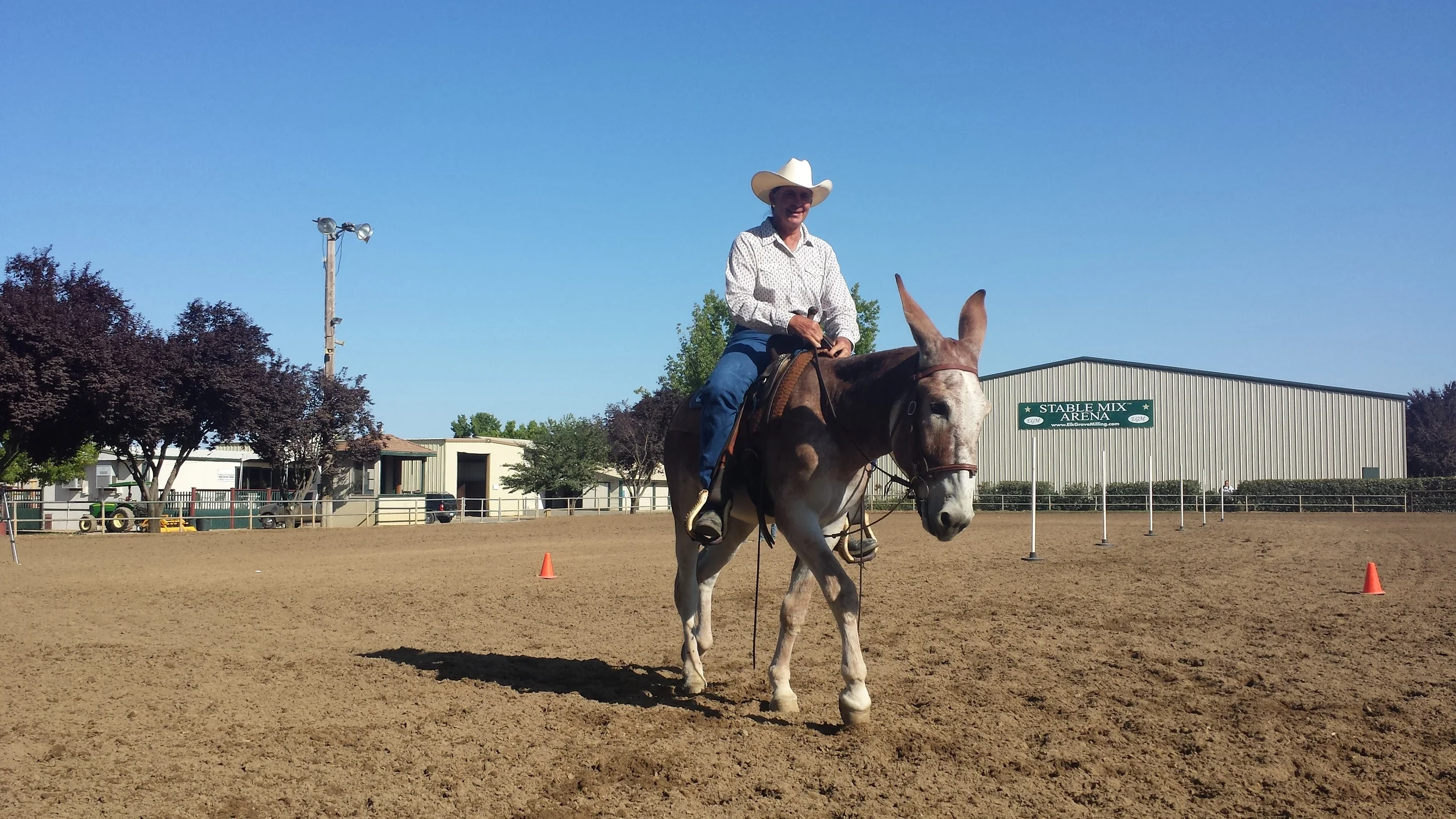 Murieta Mule Classic 2014 — American Mule Association