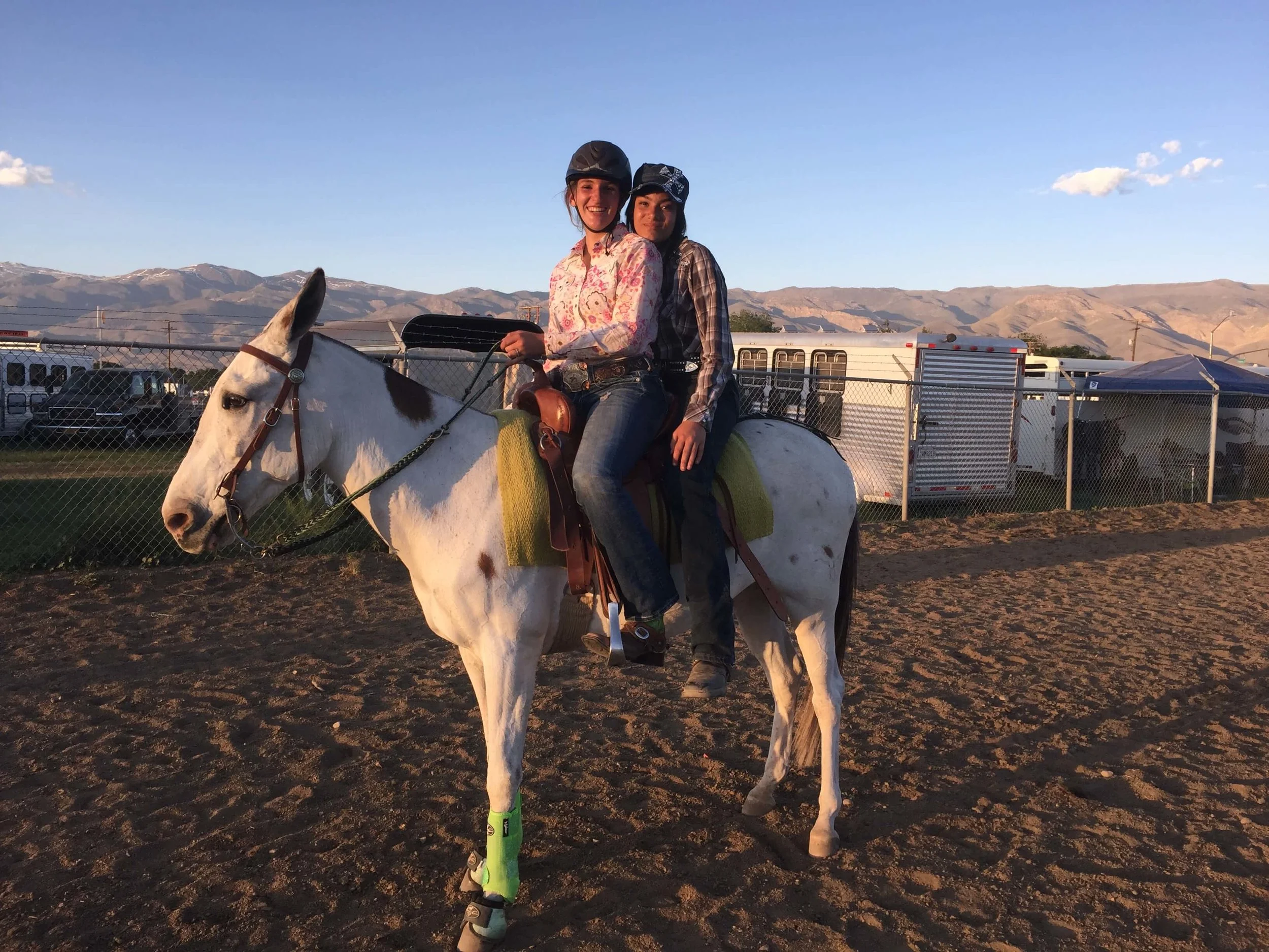 Pictures — American Mule Association