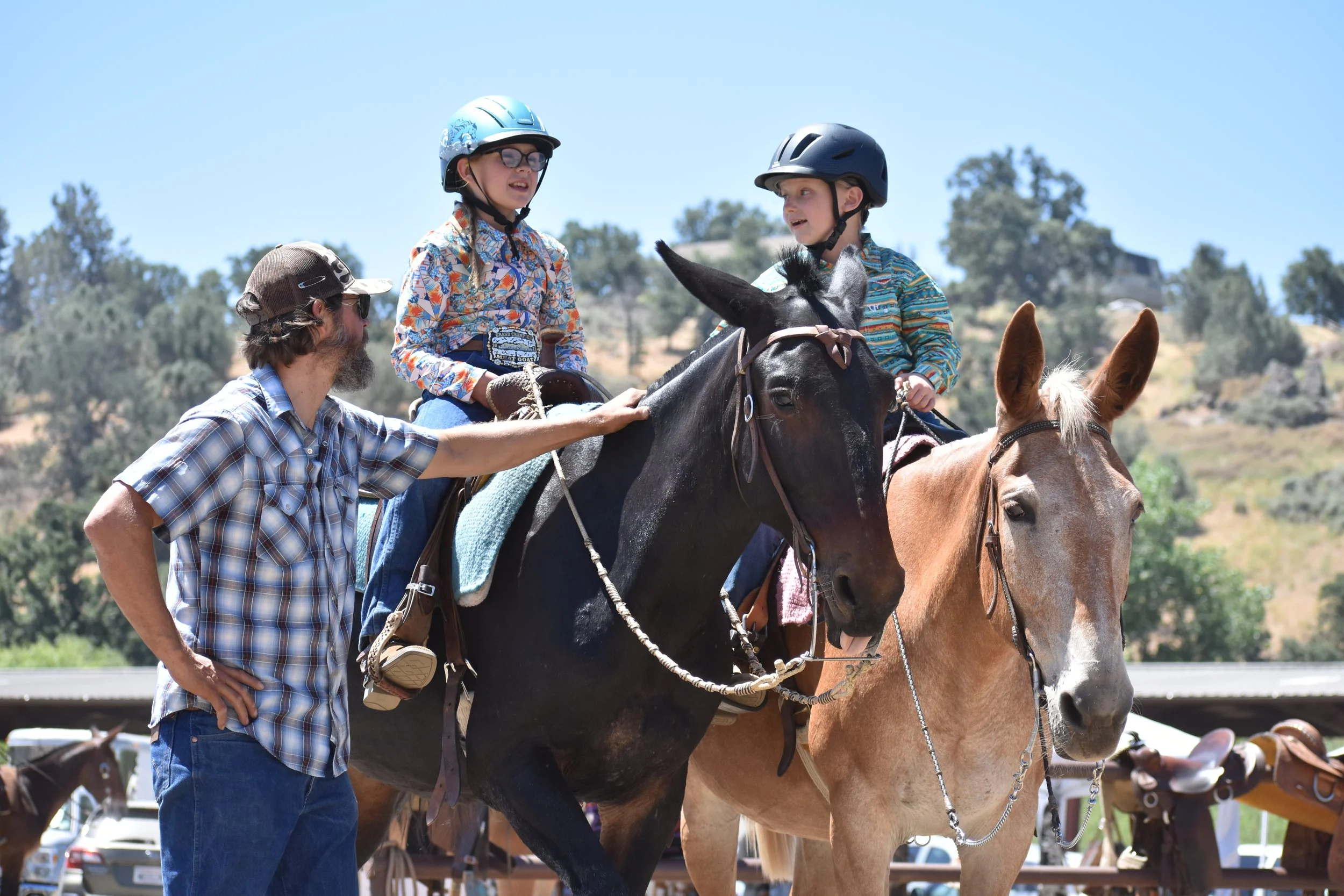 American Mule Association