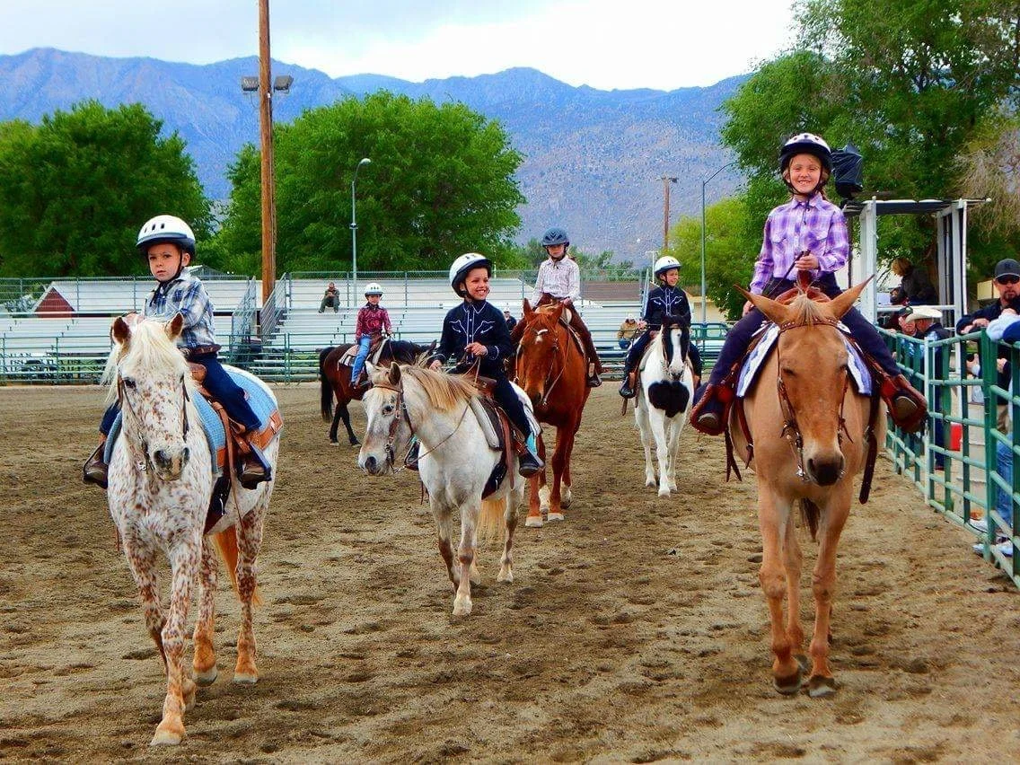 American Mule Association