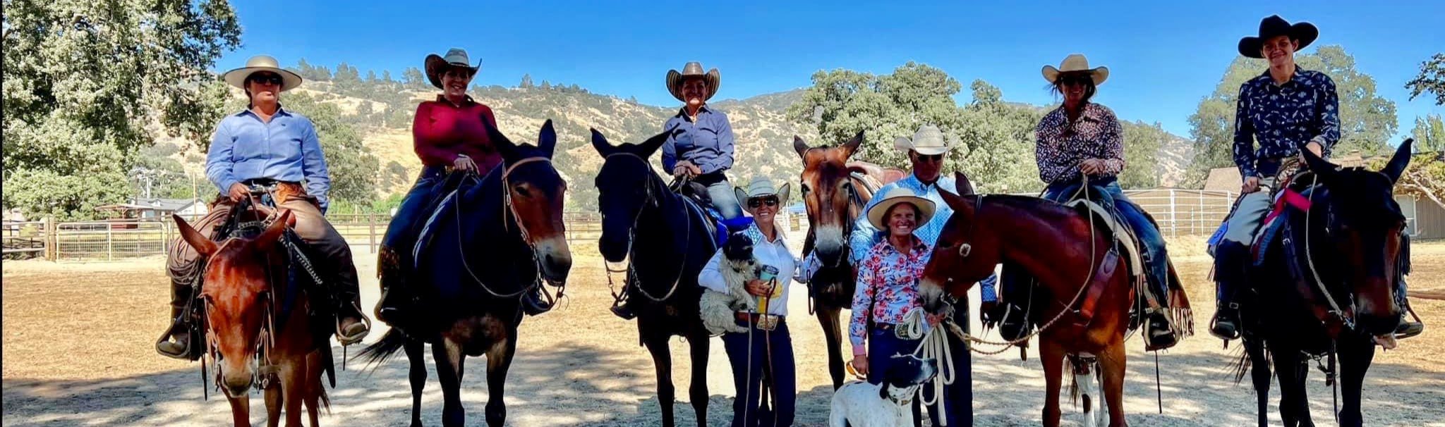 American Mule Association