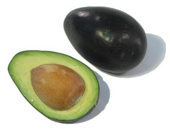 Avocado — A Natural Farm