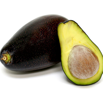 Avocado — A Natural Farm