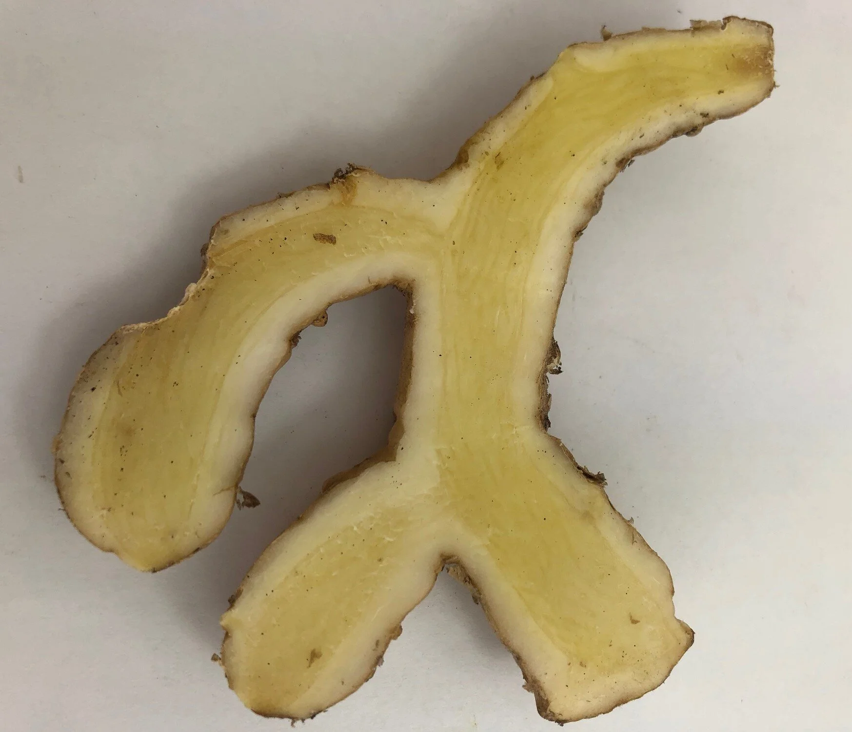 Live Plants, PLEASE SCROLL DOWN — A Natural Farm