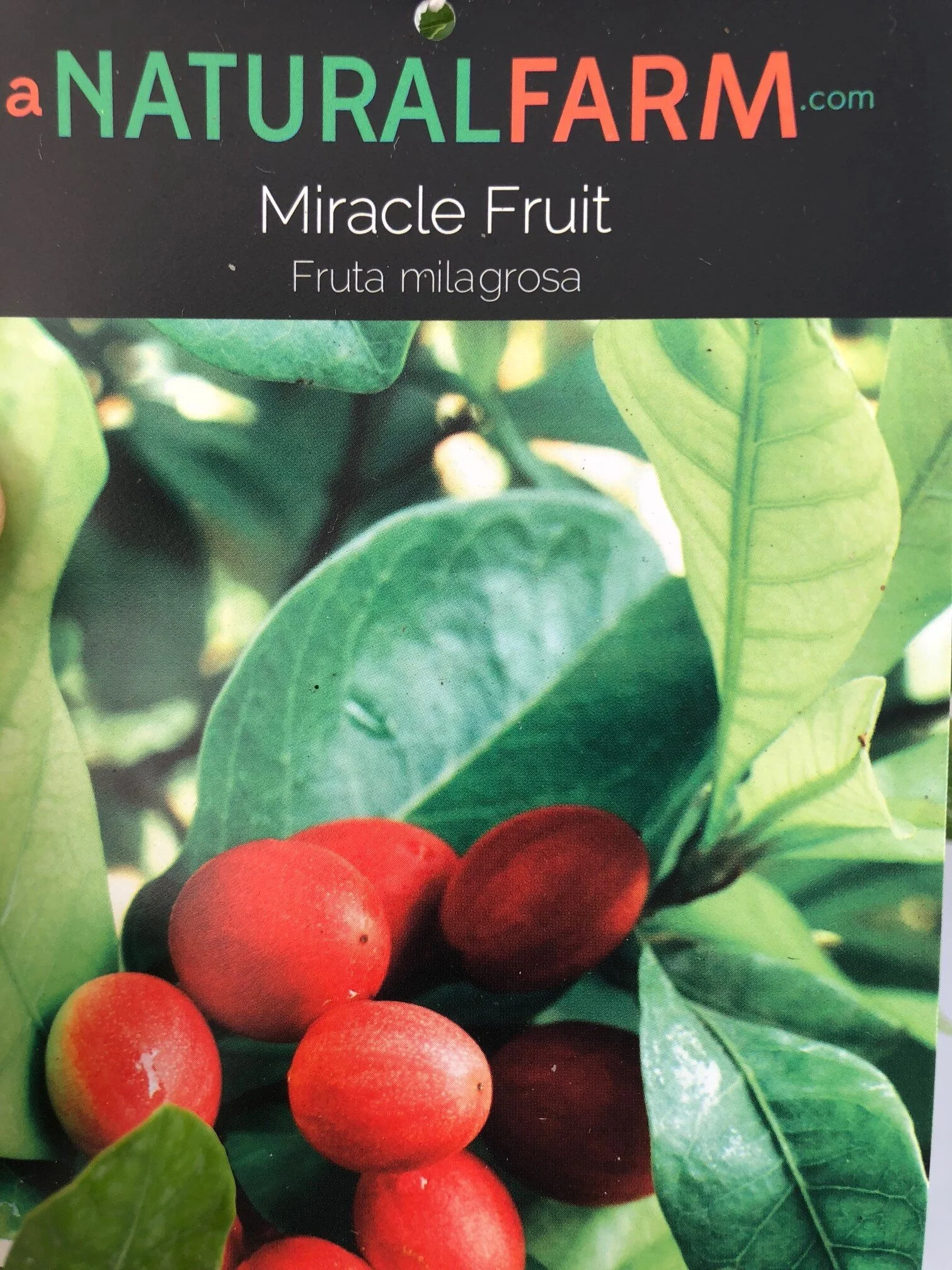 Live Plants, PLEASE SCROLL DOWN — A Natural Farm