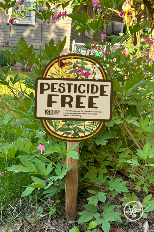 Garden Signs — Victory Garden of Tomorrow