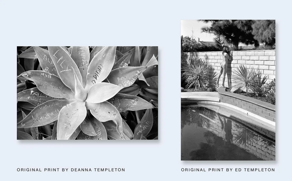 Ed Deanna Templeton