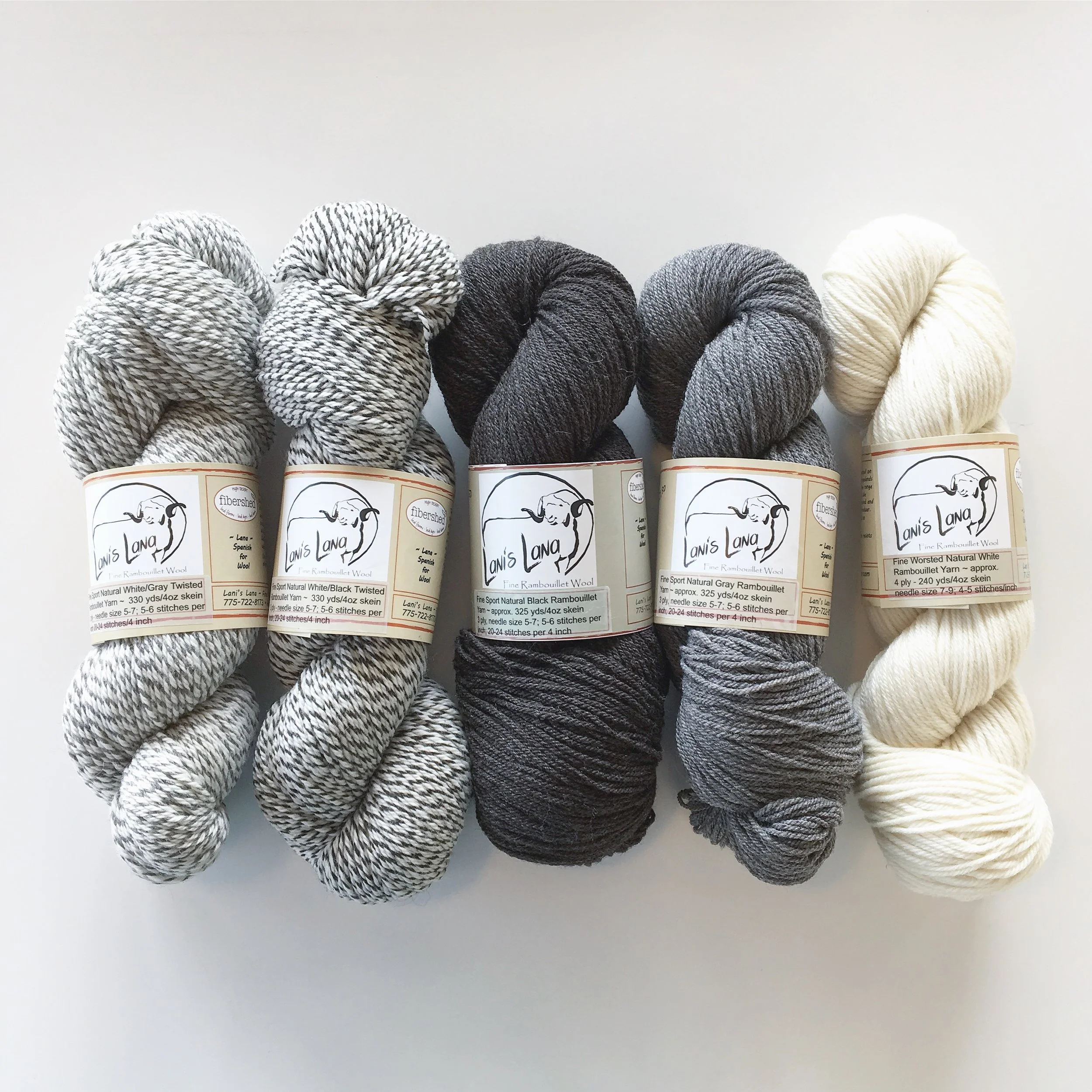 The Black Squirrel - Indie-Dyed Yarns & Craft Supplies Berkeley, CA.
