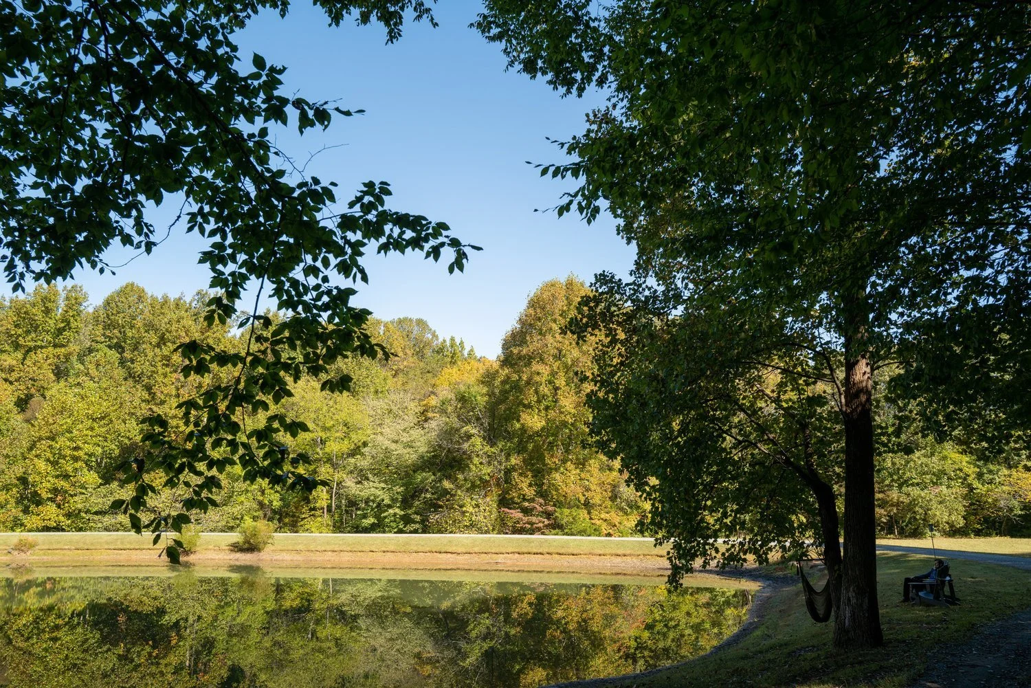 Our Campus & Story — CAGELESS BIRDS