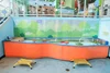 Mississippi Children's Museum Water Table — Boss Display