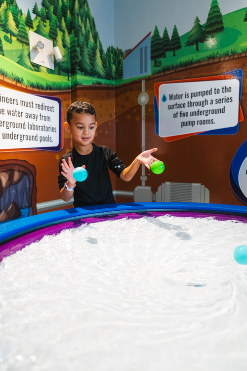 Kirby Science Center at Washington Pavilion — Boss Display