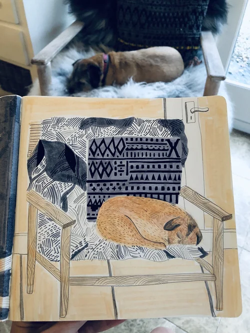 Kate Sutton Illustration