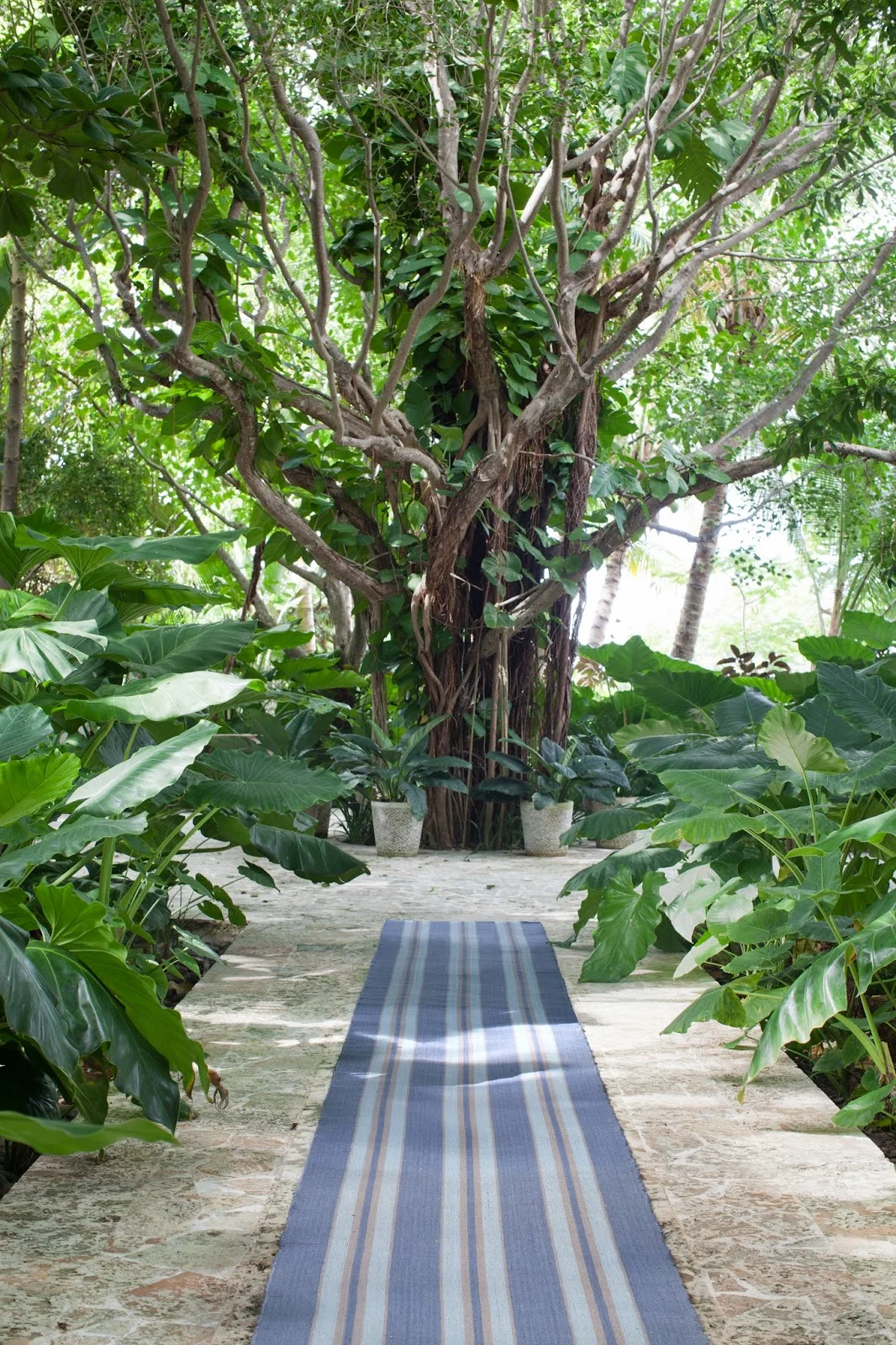 A SOFT LANDING: BUNNY WILLIAMS RUGS FOR DASH AND ALBERT — STYLEBEAT