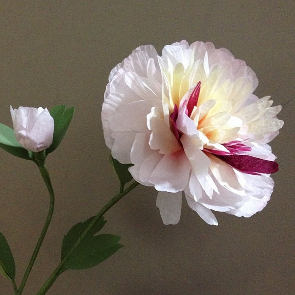 A PAPER GARDEN FROM LIVIA CETTI OF THE GREEN VASE — STYLEBEAT