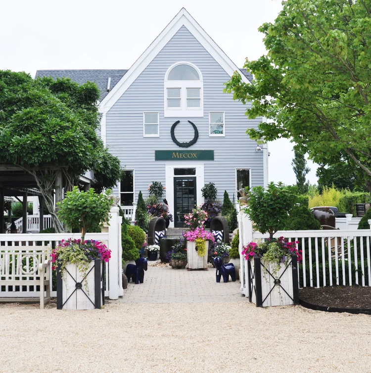 STYLEBEAT SHOPS: CELEBRATING 20 YEARS OF MECOX STYLE — STYLEBEAT