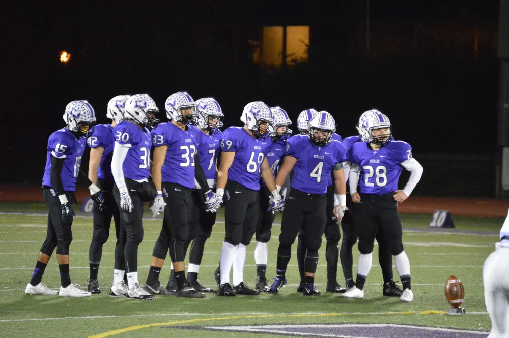 Home — SFD Stallion Pride