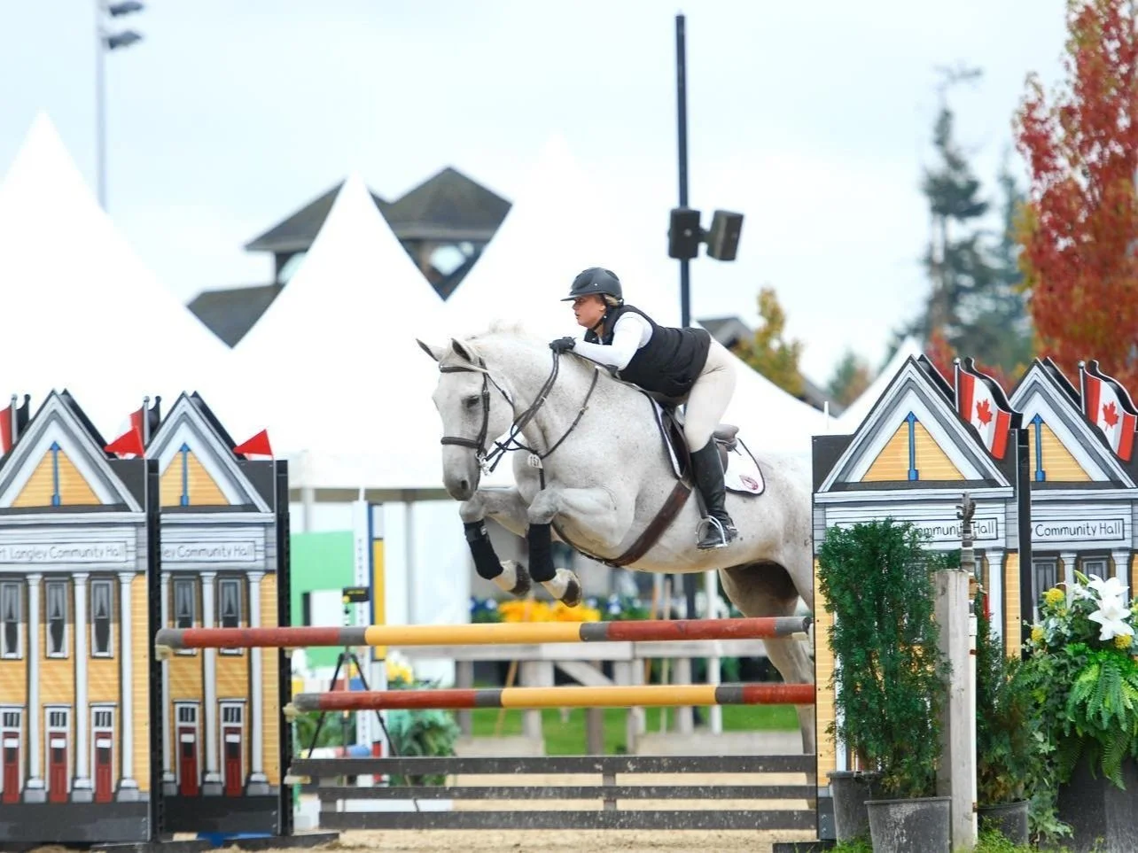 Horses For Sale or Lease — Thumbs Up Farm