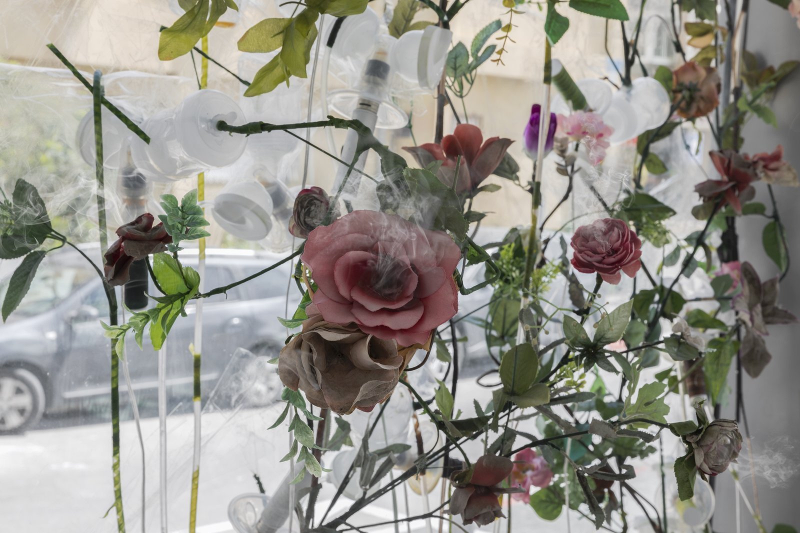 The Elizabeth Foundation for the Arts