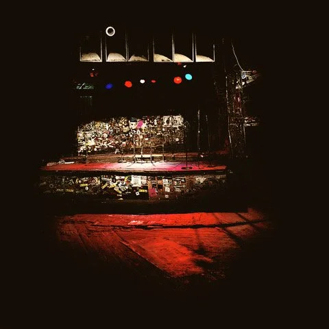 Rhona Bitner: Resound at Ruth and Elmer Wellin Museum of Art — The ...