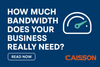 How Much Bandwidth Does Your Business Really Need?