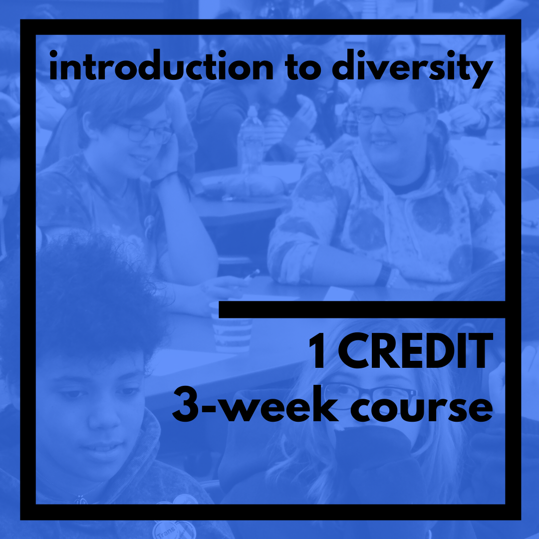 Introduction to Diversity: Understanding Diverse Students — Safe ...