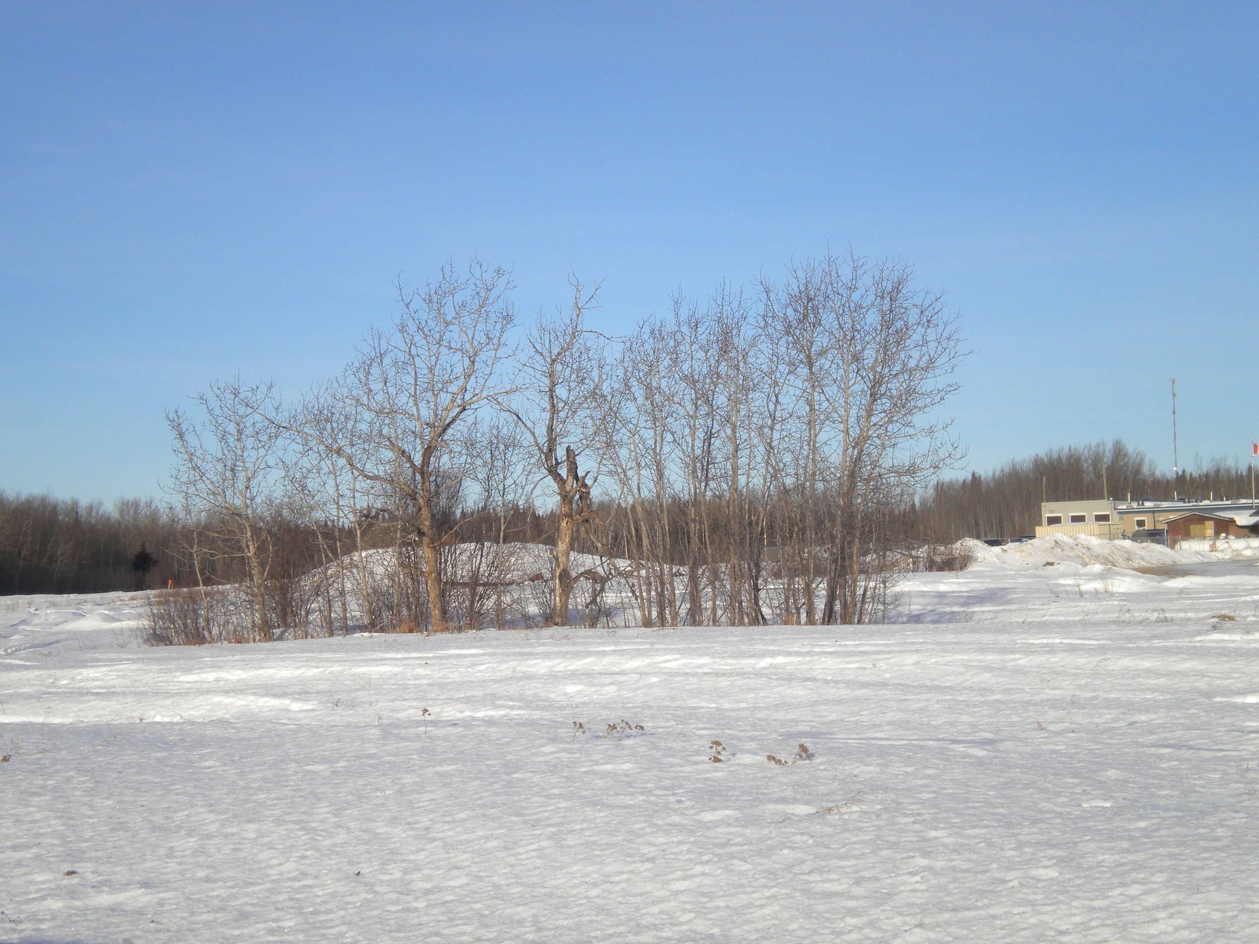 Welcome — Lubicon Lake Band #453