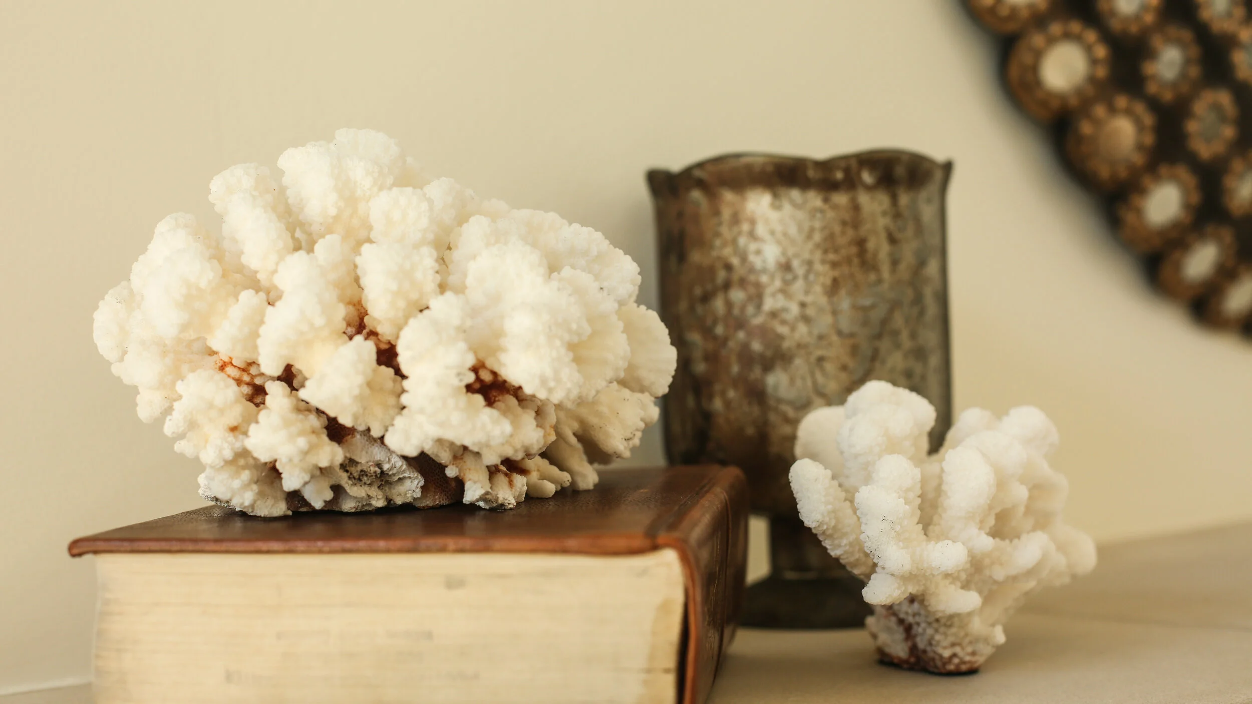 PORTFOLIO — PATRICIA GIFFEN DESIGN