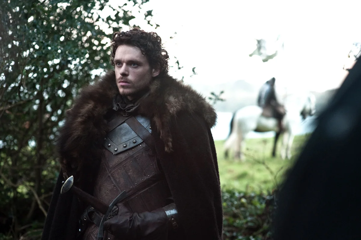 Robb Stark Armor