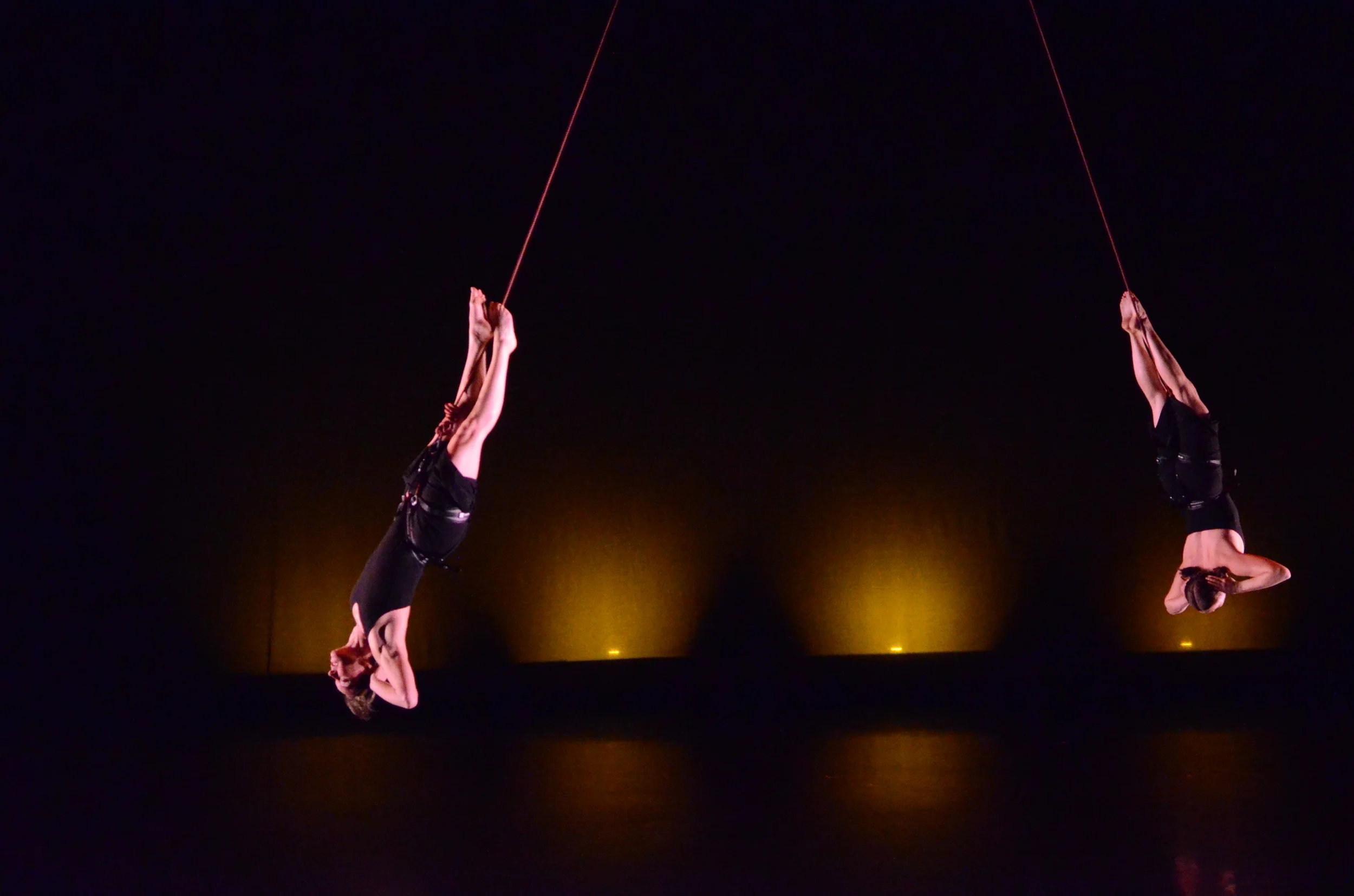 UpSwing on Tour — UpSwing Aerial Dance Company