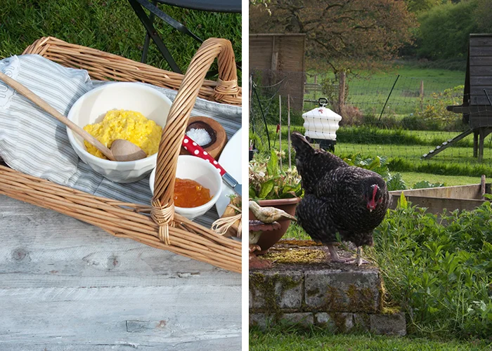 The Shepherds Return — RENAE SMITH