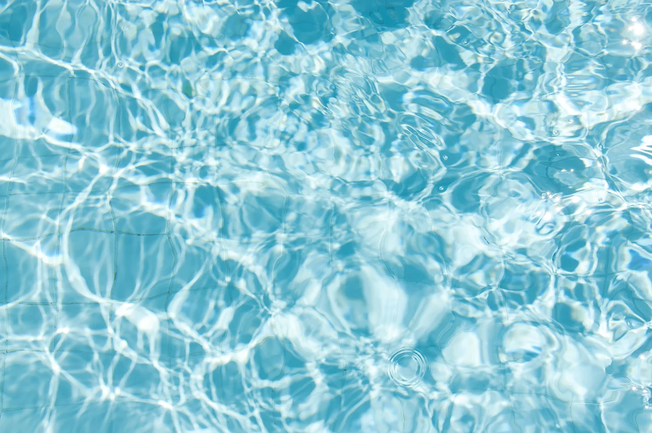 Hospitality — RENAE SMITH