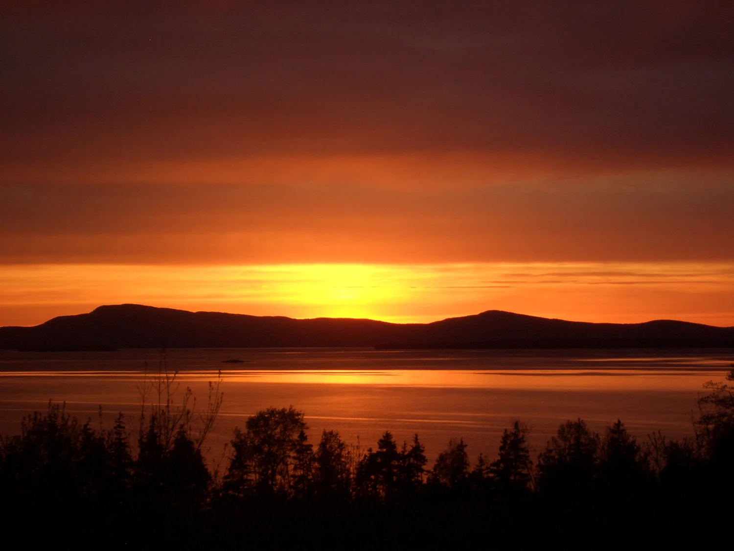 The Island Experience — Nebo Lodge