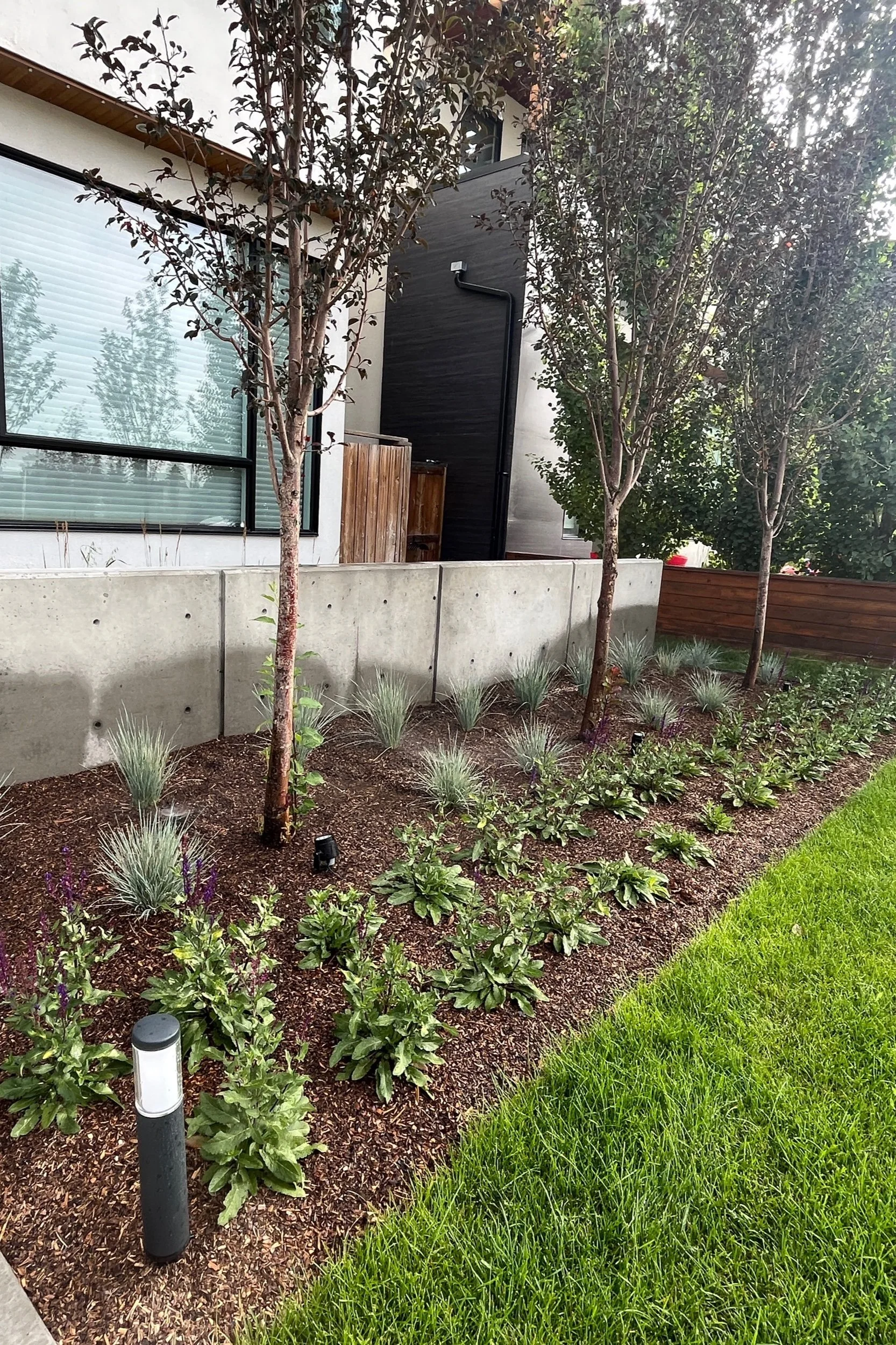 Baber Design + Build