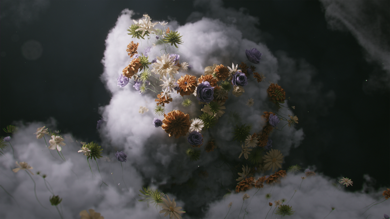 Projects — Fred Kim