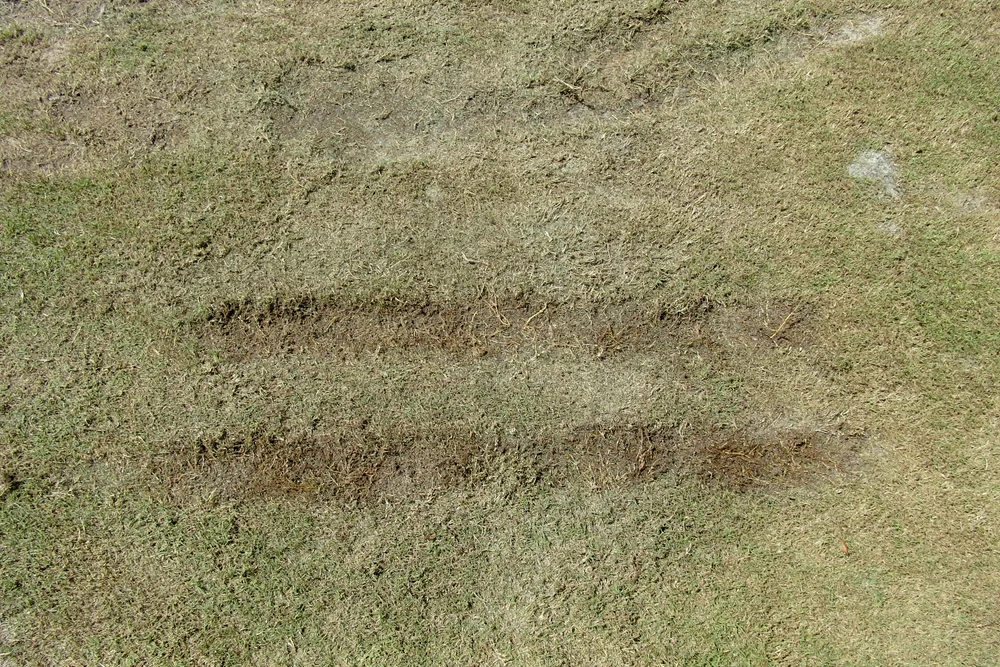 Divot Patterns