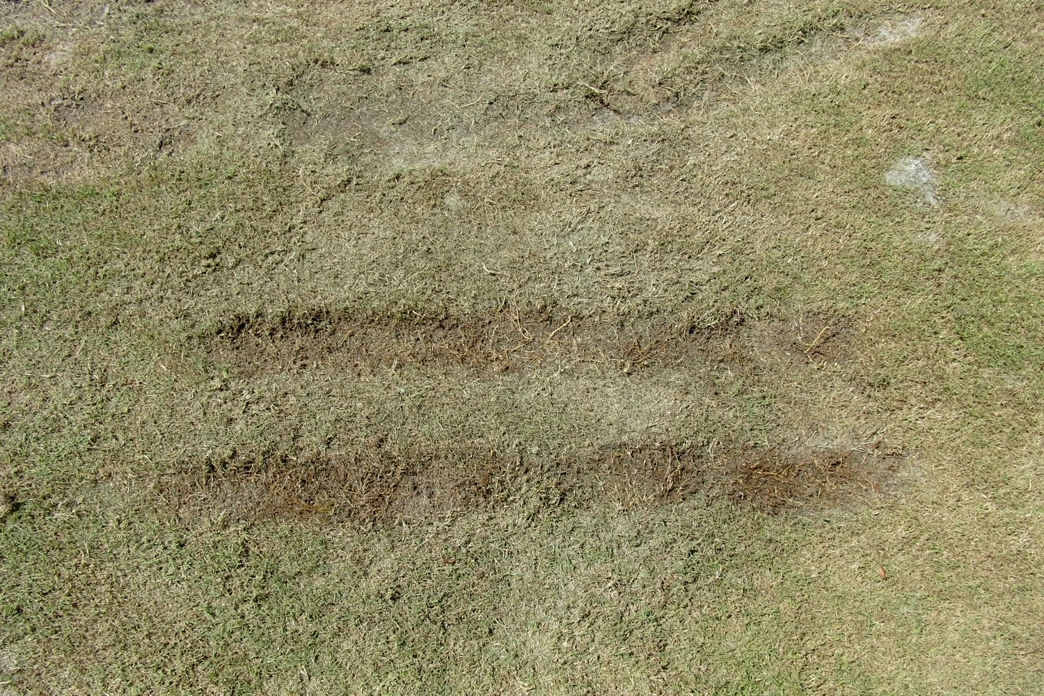 Divot Patterns