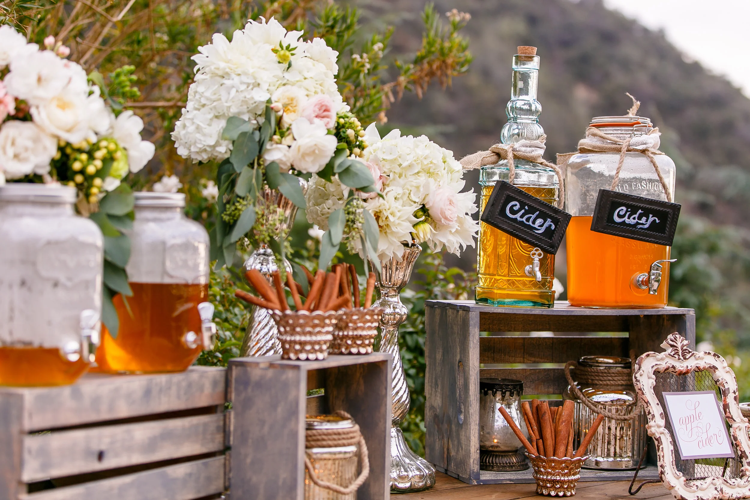 Cocktail Hour Gallery — Serendipity Garden Weddings