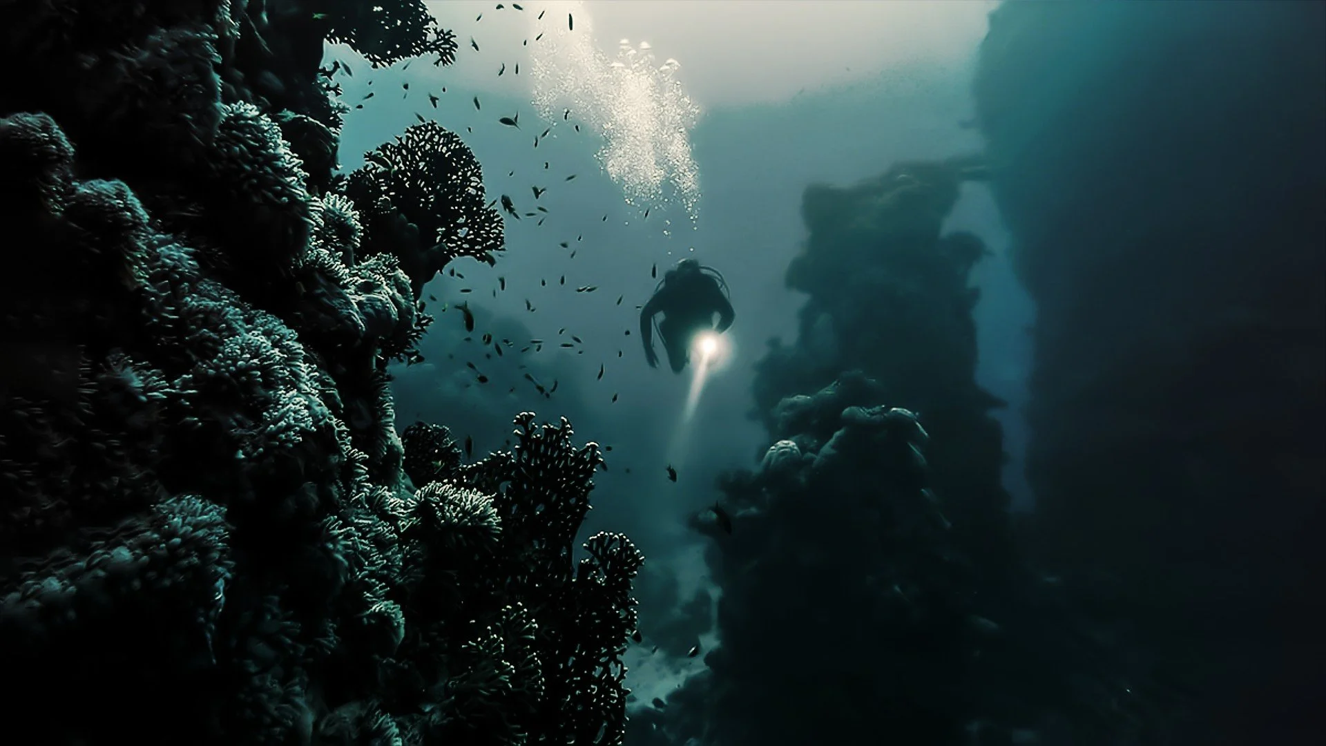 NHL Seattle Kraken — Broadcast Design - Renderon Broadcast Design