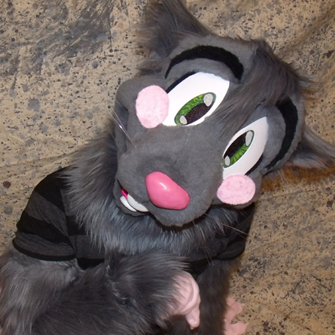 Products & Options — More Fur Less