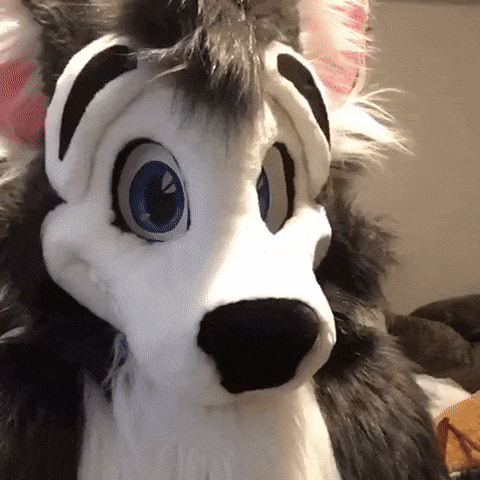 Products & Options — More Fur Less