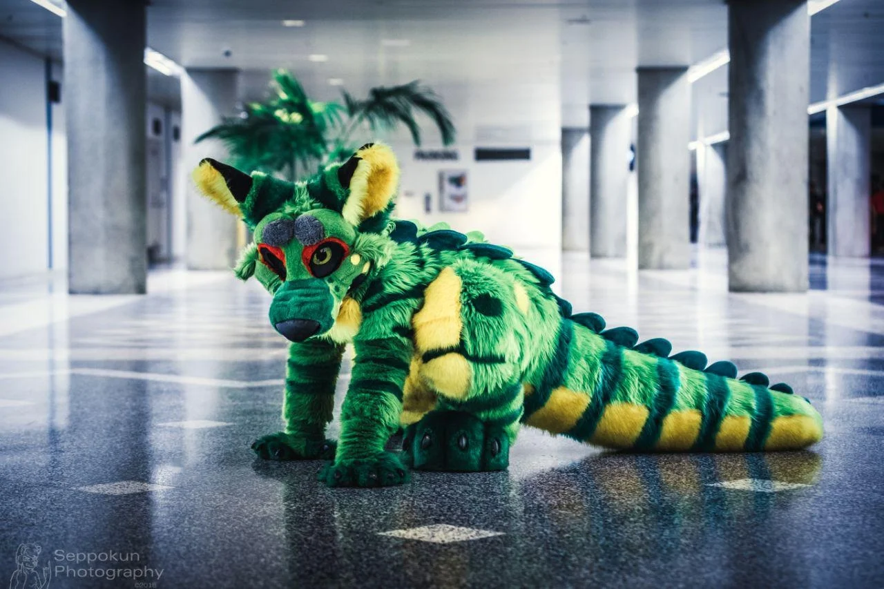 Products & Options — More Fur Less