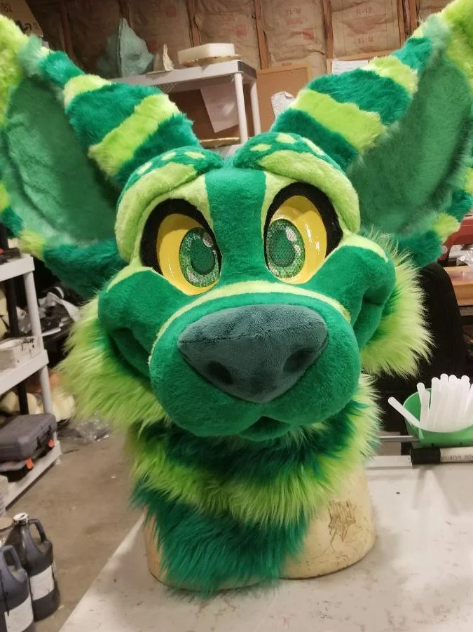 Products & Options — More Fur Less