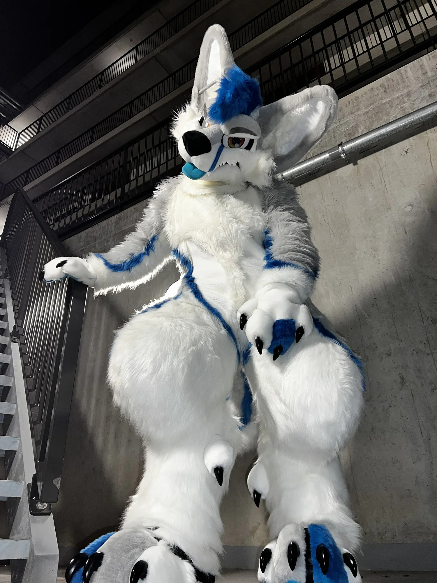 More Fur Less
