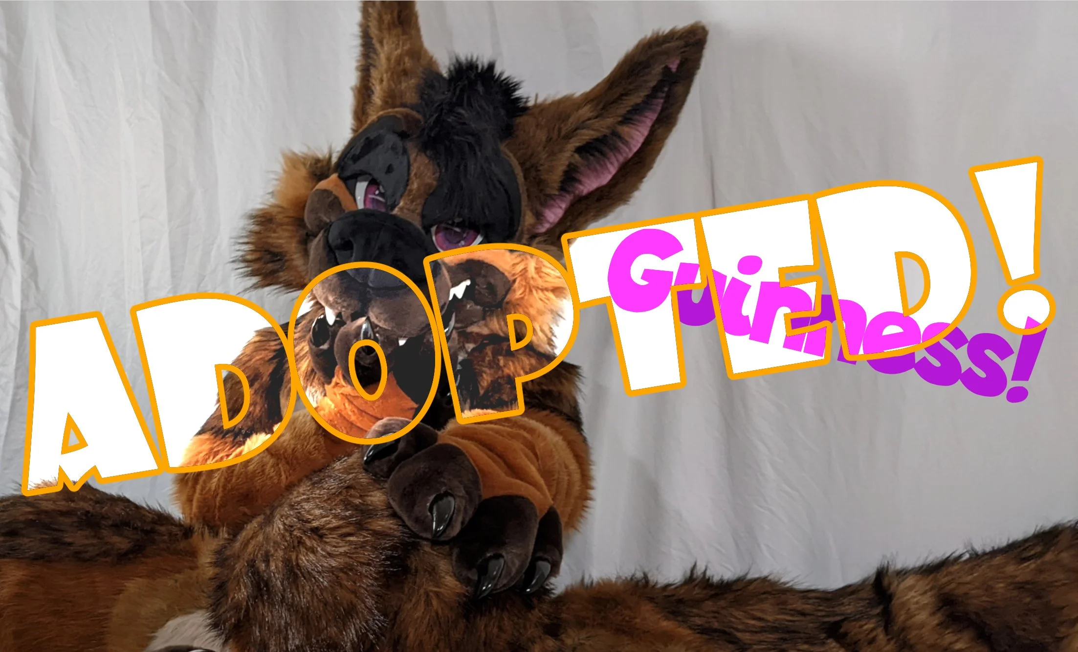 Buy a Fursuit Now — More Fur Less Adoptions — More Fur Less