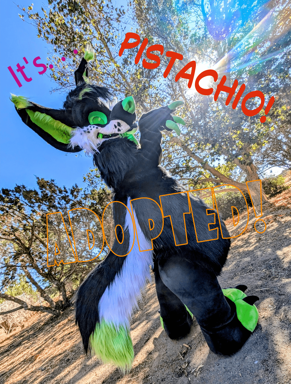 Buy a Fursuit Now — More Fur Less Adoptions — More Fur Less